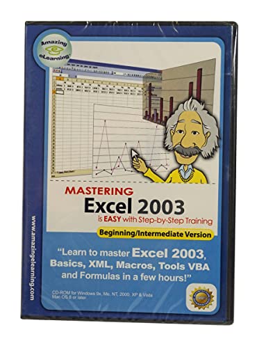 Mastering Excel 2003