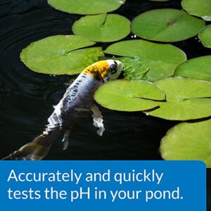 API POND WIDE RANGE pH TEST KIT 160-Test Pond Water Test Kit