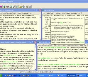 Online Bible Classic Edition CD Program With 21 English Versions