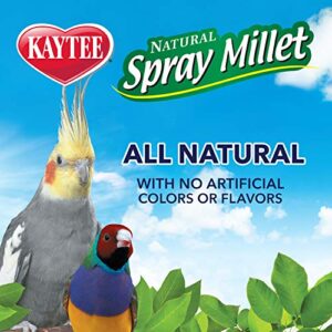 Kaytee Spray Millet Treat for Pet Birds, 3 Ounce