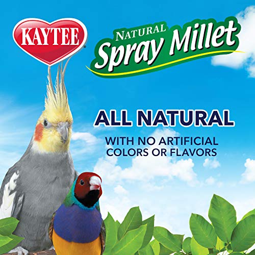 Kaytee Spray Millet Treat for Pet Birds, 3 Ounce