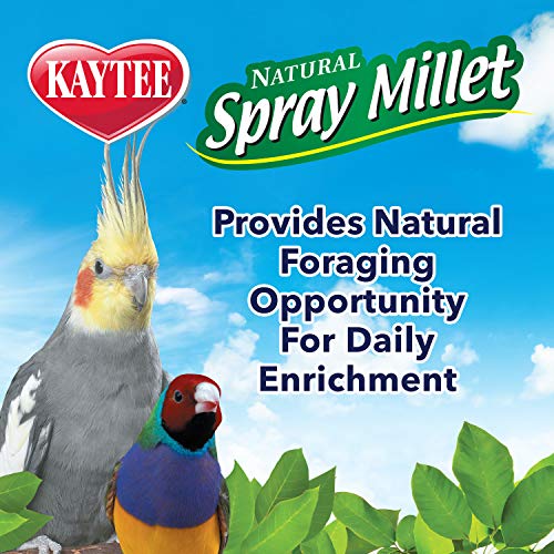 Kaytee Spray Millet Treat for Pet Birds, 3 Ounce