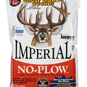 Whitetail Institute Imperial No-Plow Food Plot Seed (Spring and Fall Planting), 9-Pound (.5 acre), White