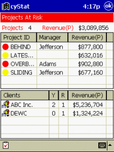 cystat project portfolio