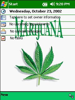 Marijuana Today Theme