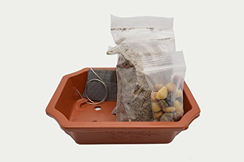 9GreenBox - Bonsai Potting Kit