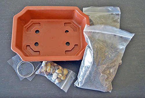 9GreenBox - Bonsai Potting Kit