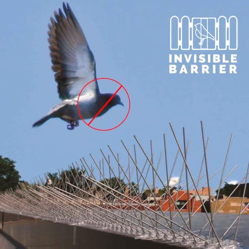 Bird-X Extra Wide 8-inch Stainless Steel Bird Spikes - Metal Roof Guard, Pigeon and Bat Deterrent, Animal and Pest Control Supplies, Covers 10 Feet