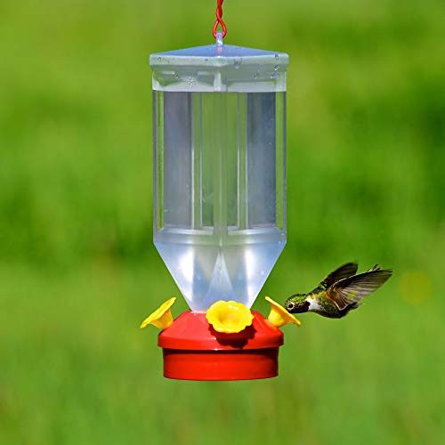 Perky-Pet 201 Lantern Hummingbird Feeder- 18 oz, Red