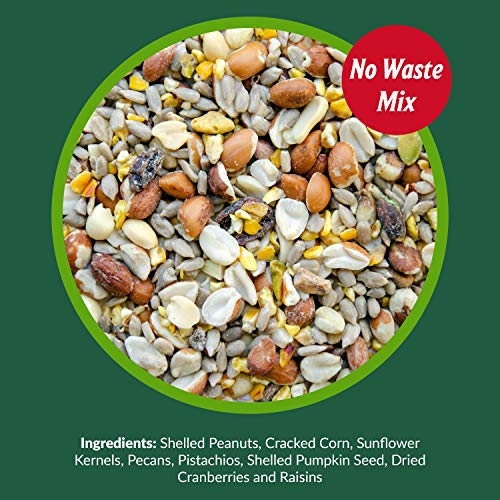 Lyric Woodpecker Wild Bird Seed, No Waste Bird Seed with Nuts, Dried Fruit & Shelled Seeds - 5 lb. Bag