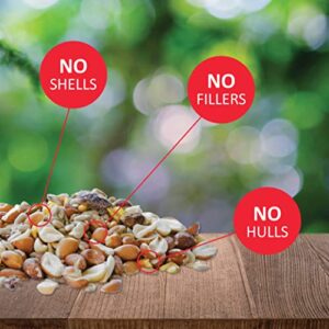 Lyric Woodpecker Wild Bird Seed, No Waste Bird Seed with Nuts, Dried Fruit & Shelled Seeds - 5 lb. Bag