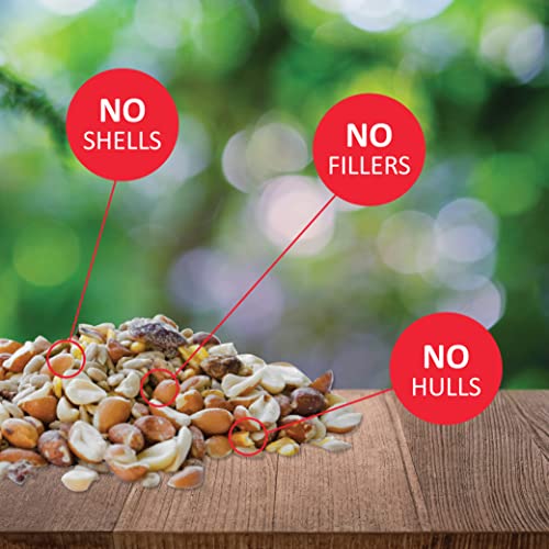 Lyric Woodpecker Wild Bird Seed, No Waste Bird Seed with Nuts, Dried Fruit & Shelled Seeds - 5 lb. Bag