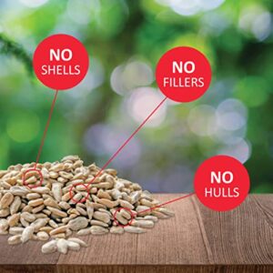 Lyric Sunflower Kernels Wild Bird Seed No Waste Bird Food Attracts Finches & More 5 lb. bag