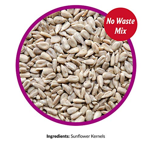 Lyric Sunflower Kernels Wild Bird Seed No Waste Bird Food Attracts Finches & More 5 lb. bag