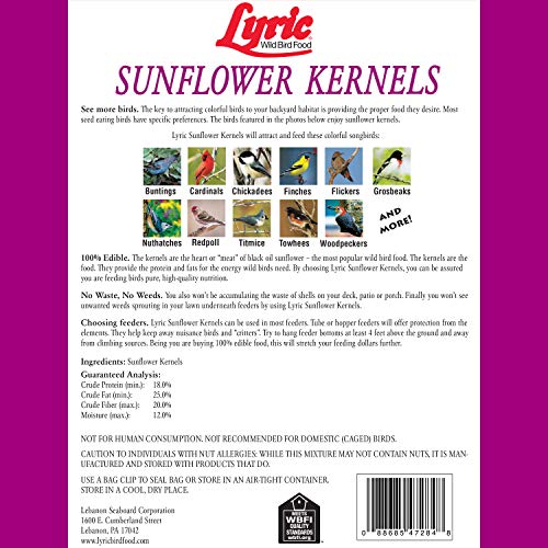 Lyric Sunflower Kernels Wild Bird Seed No Waste Bird Food Attracts Finches & More 5 lb. bag