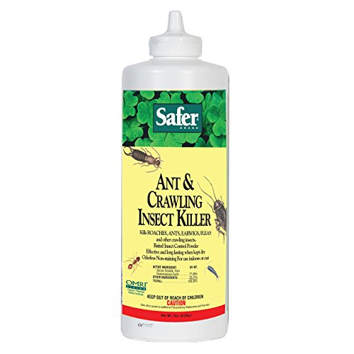 Safer Brand 5168 Diatomaceous Earth Powder Ant, Crawling Insect and Bed Bug Killer, 7 Ounces