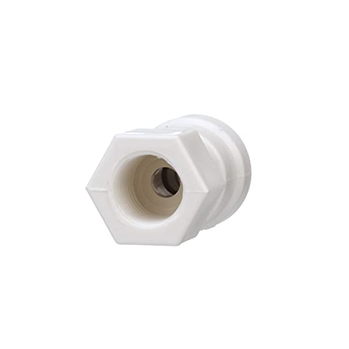 Watts PL-3060 Push Female Adapter, 1/4-Inch OD x 1/4-Inch FPT, Plastic