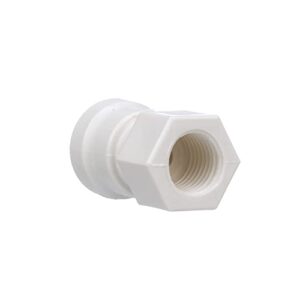 Watts PL-3060 Push Female Adapter, 1/4-Inch OD x 1/4-Inch FPT, Plastic