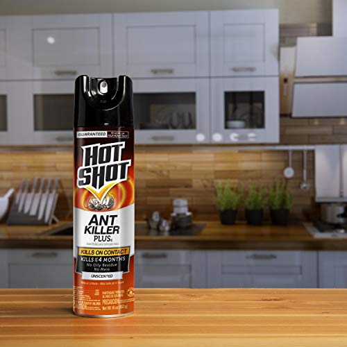 Hot Shot Ant Killer Plus Aerosol, Unscented, Kills On Contact