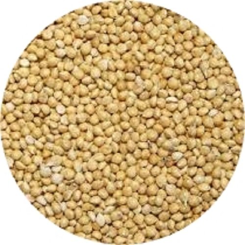 Shafer Seed 84075 White Proso Millet Wild Bird Food, 50-Pound