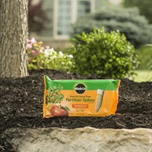 Miracle-Gro Fertilizer Spikes for Fruit and Citrus Trees, 12-Pack (Not Sold in Pinellas County, FL)