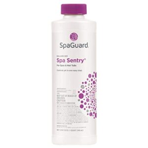 spaguard spa sentry (1 qt)