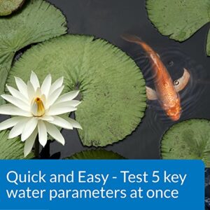 API Pondcare 5-in-1 Pond Test Strips