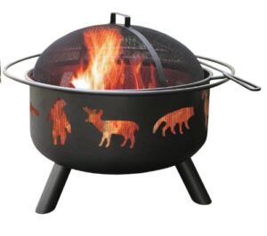 bs wildlife fire pit