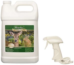 repellex deer/rabbit repellent, 1 gal. (10008)