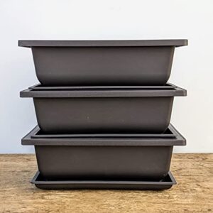 Bonsai Outlet Training Pots with Humidity Trays - Built in Mesh, Brown 8-Inch Large Planters + Made from Durable Shatter Proof Poly-Resin, Set of 3 Pot Set