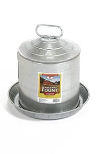 miller 9835 5-gallon galvanized poultry fountain