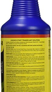 Liquinox 1 0-2-0 Vitamin B1 Start, 1 quart