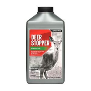 deer stopper quart concentrate