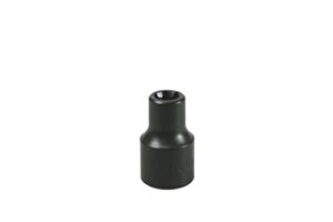 lisle 26820 e-10 torx socket