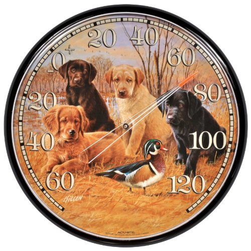 AcuRite 01712 12.5-Inch Wall Thermometer, Labrador Puppies,Multicolor