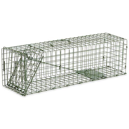 Duke Traps Rabbit Cage Trap