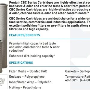 Pentair Pentek CBC-10 Carbon Water Filter, 10-Inch, Under Sink Carbon Block Replacement Cartridge with Bonded Powdered Activated Carbon (PAC) Filter, 10" x 2.5", 0.5 Micron