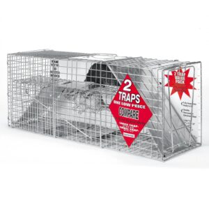 advantek 20050b catch and release live animal trap, 2-piece value pack, raccoon and rabbit traps