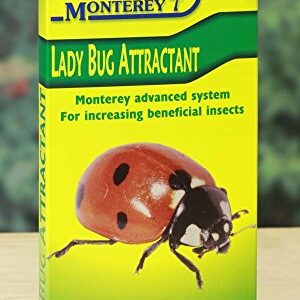 Monterey LG8510 Lady Bug Lure, Pack of 3