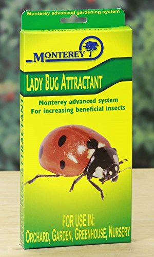 Monterey LG8510 Lady Bug Lure, Pack of 3