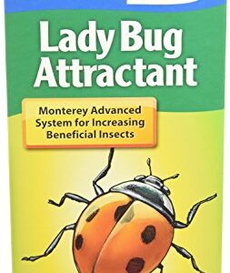 Monterey LG8510 Lady Bug Lure, Pack of 3