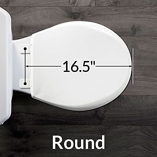 Mayfair 830CHSLB 000 Toilet Seat, 1 Pack-ROUND, White-Chrome Hinges