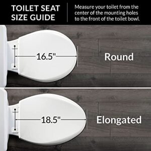 Mayfair 830CHSLB 000 Toilet Seat, 1 Pack-ROUND, White-Chrome Hinges