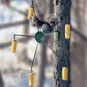 Woodlink 5560 Squirrel-Go-Round Squirrel Feeder