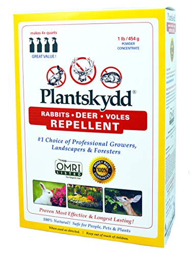 Plantskydd Animal Repellent - Repels Deer, Rabbits, Elk, Moose, Hares, Voles, Squirrels, Chipmunks and Other Herbivores; Soluble Powder Concentrate - 1 LB Box - Makes 1 Gallon Liquid (PSP-R1)