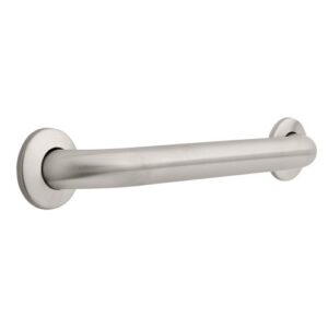 franklin brass 5616 1-1/2-inch x 16-inch concealed mount safety bath and shower grab bar, stainless