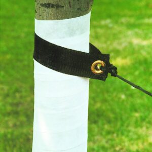 Dewitt 3-Inch by 50-Foot Tree Wrap White TW3W