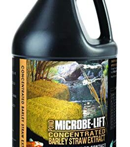 MICROBE-LIFT MLCBSEG4 Concentrated Barley Straw Extract Conditioner for Ponds and Outdoor Water Garden, Safe for Live Koi Fish, Plants, and Decorations, 1 Gallon