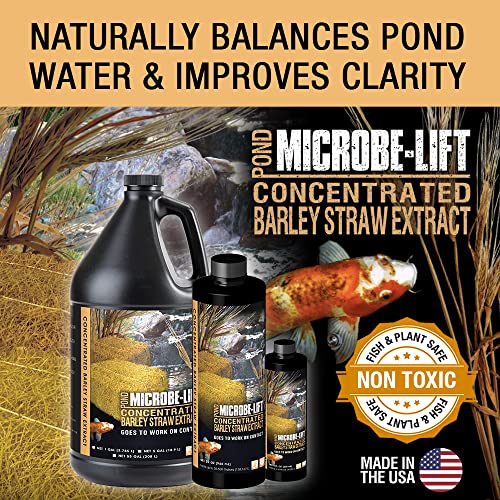 MICROBE-LIFT MLCBSEG4 Concentrated Barley Straw Extract Conditioner for Ponds and Outdoor Water Garden, Safe for Live Koi Fish, Plants, and Decorations, 1 Gallon