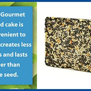 Kaytee Wild Bird Gourmet Seed Cake For Cardinals, Chickadees, Juncos, Titmice, Woodpeckers and More, 2 Pounds